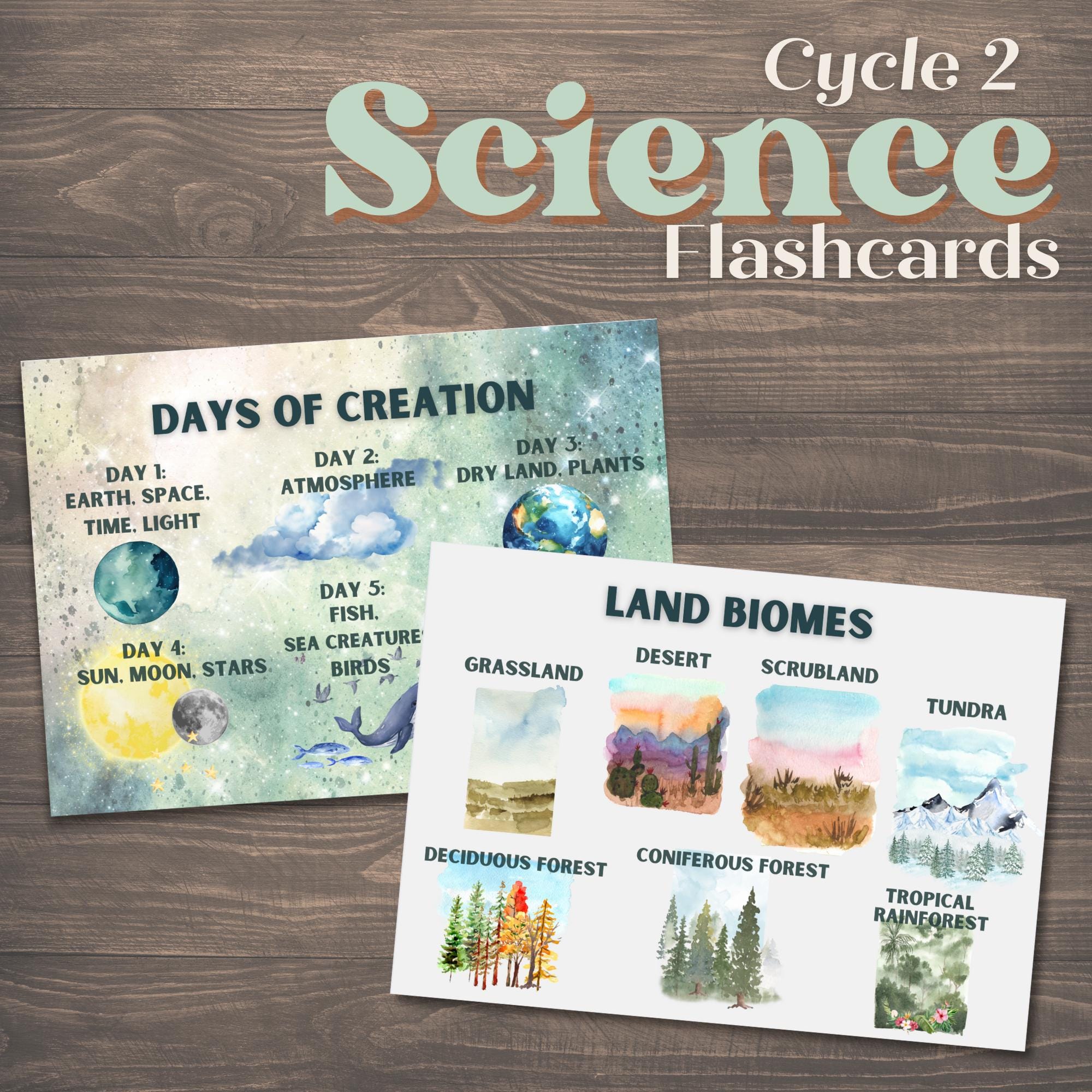 Cycle 2 Science Memory Cards - Etsy