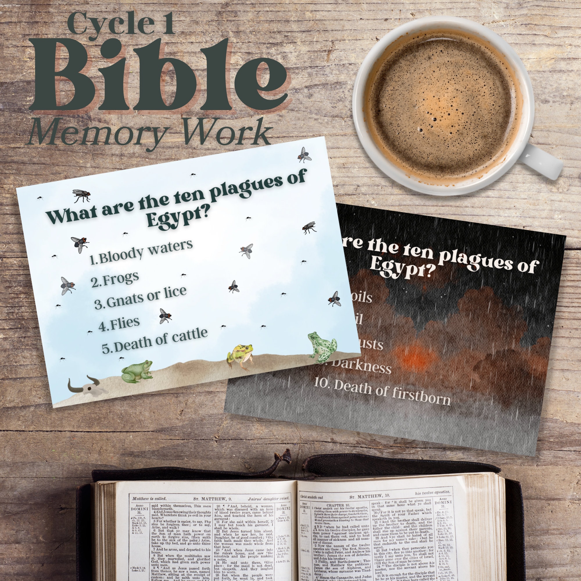 Bible Facts Memory Work + Flashcards | Old Testament | Printable ...