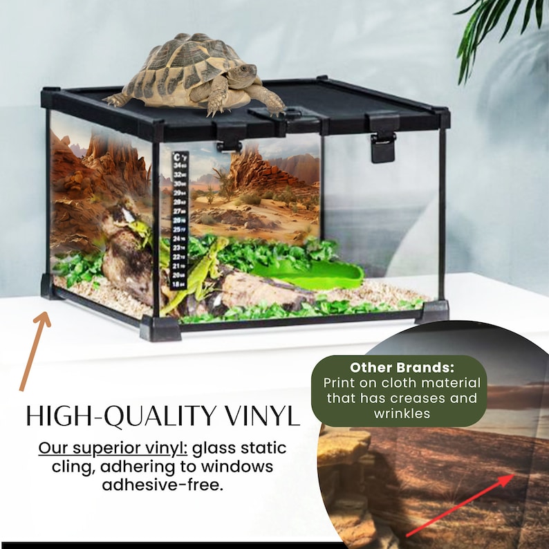 Aquarium Terrarium Background, HD Window Cling Wallpaper, Easy ...