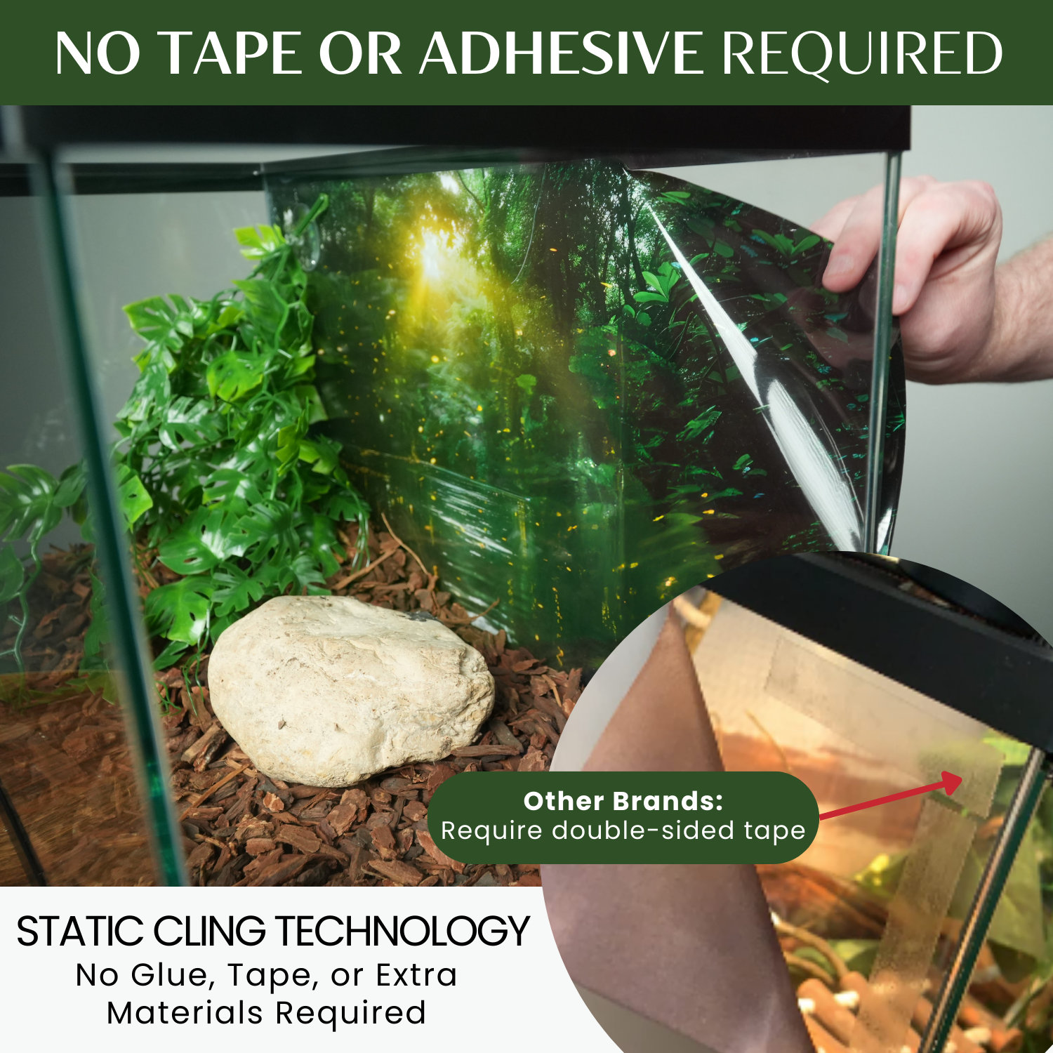 Aquarium Terrarium Background, HD Window Cling Wallpaper, Easy ...