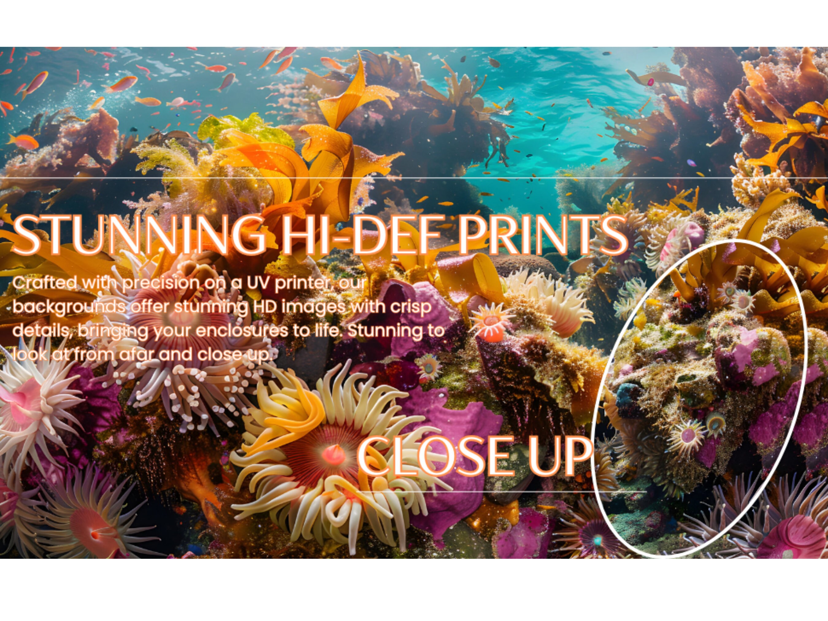 Aquarium Terrarium Background, HD Window Cling Wallpaper, Easy ...