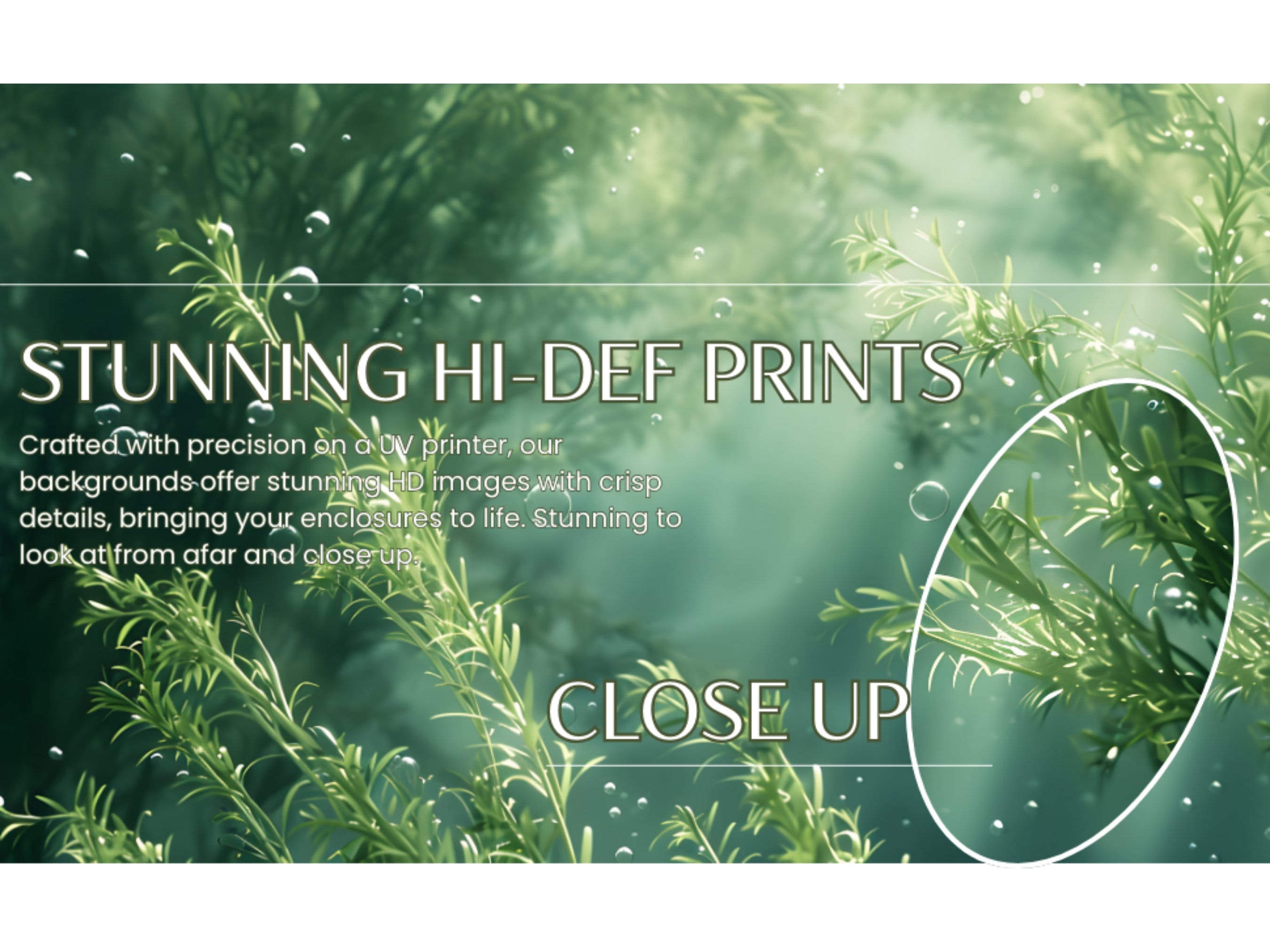 Aquarium Terrarium Background, HD Window Cling Wallpaper, Easy ...