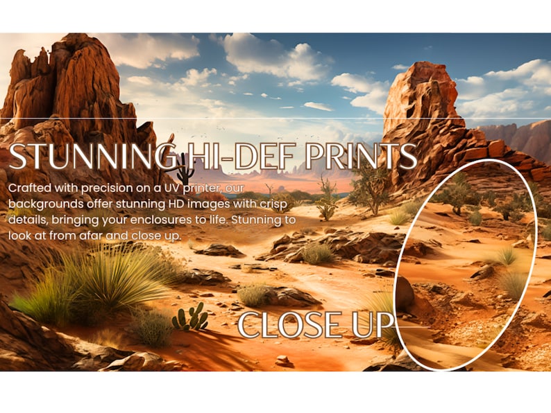 Aquarium Terrarium Background, HD Window Cling Wallpaper, Easy ...