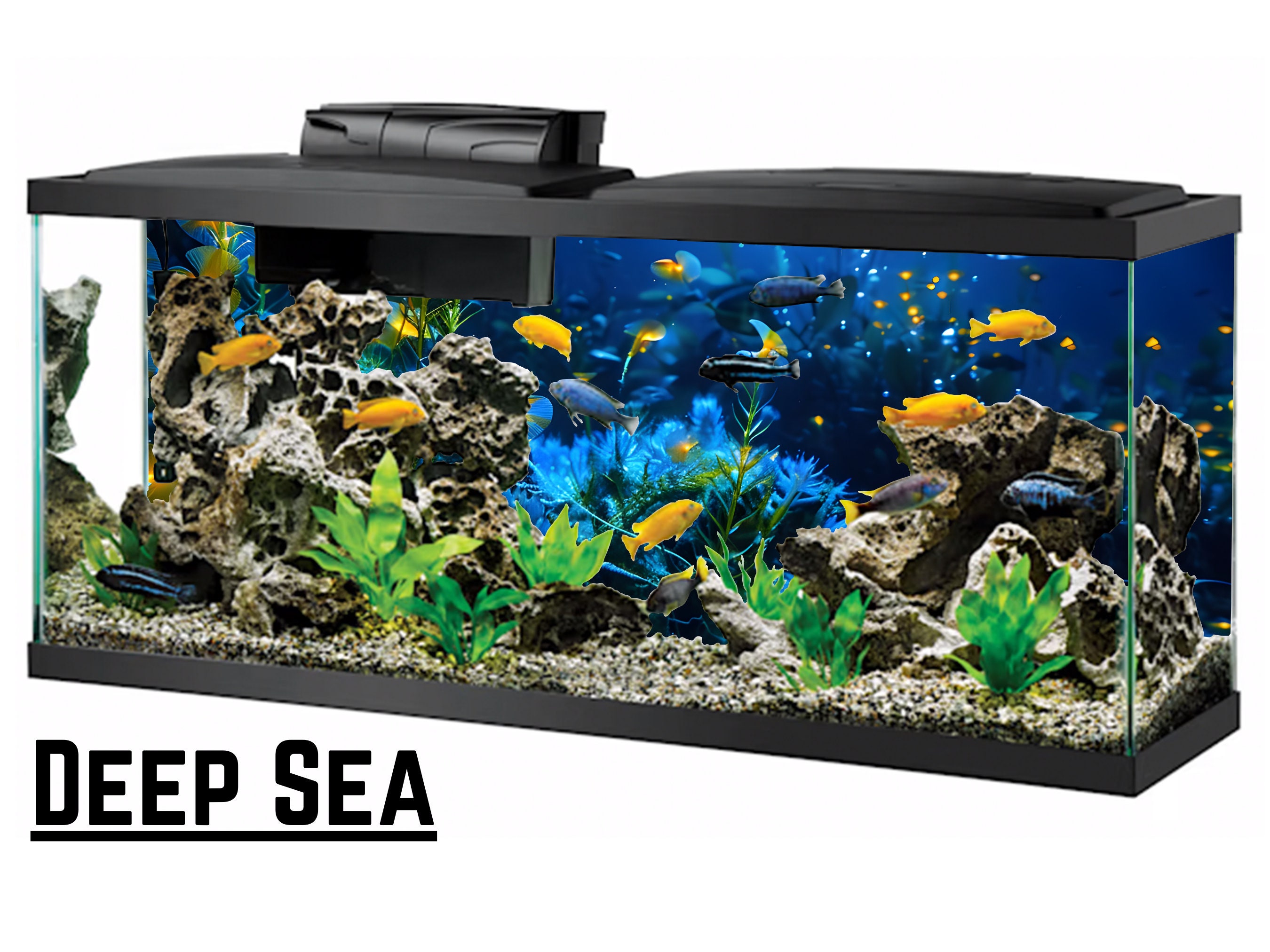 Aquarium Terrarium Background, HD Window Cling Wallpaper, Easy ...