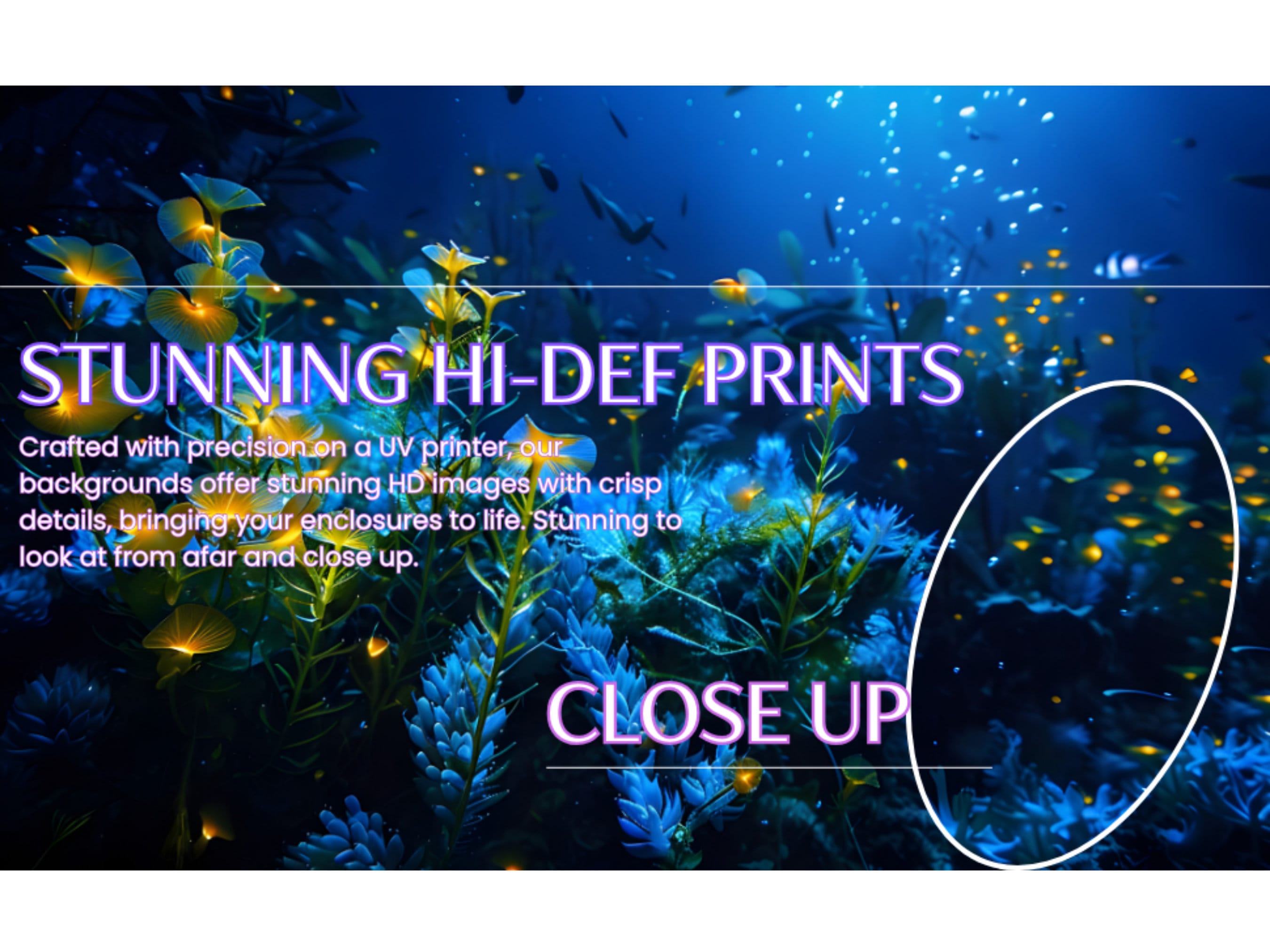 Aquarium Terrarium Background, HD Window Cling Wallpaper, Easy ...