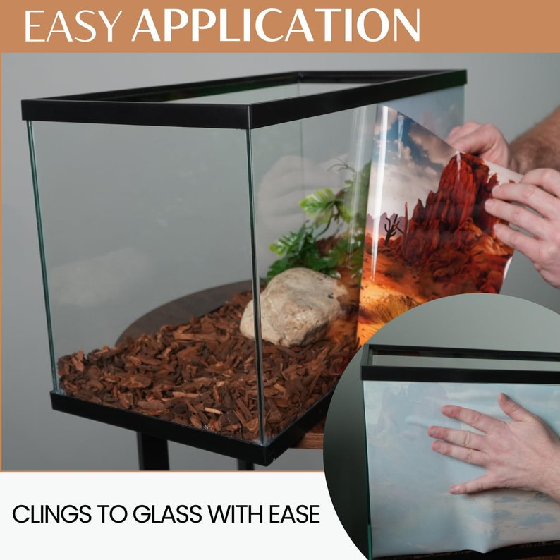 Aquarium Terrarium Background, HD Window Cling Wallpaper, Easy ...