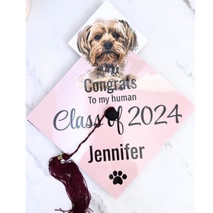 Custom Cat Photo Graduation Cap Topper Decoration Gift for Class of ...