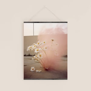 Lo-fi Daisy Flower Smoke Bomb PRINTABLE Film Photo Pink - Etsy