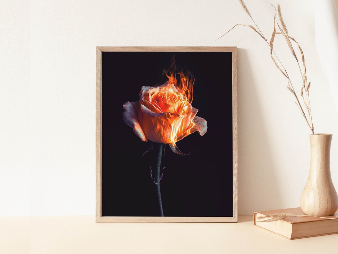 Lo-fi Rose Flowers on Fire PRINTABLE, Film Photo, Smoke Bomb, Flower ...