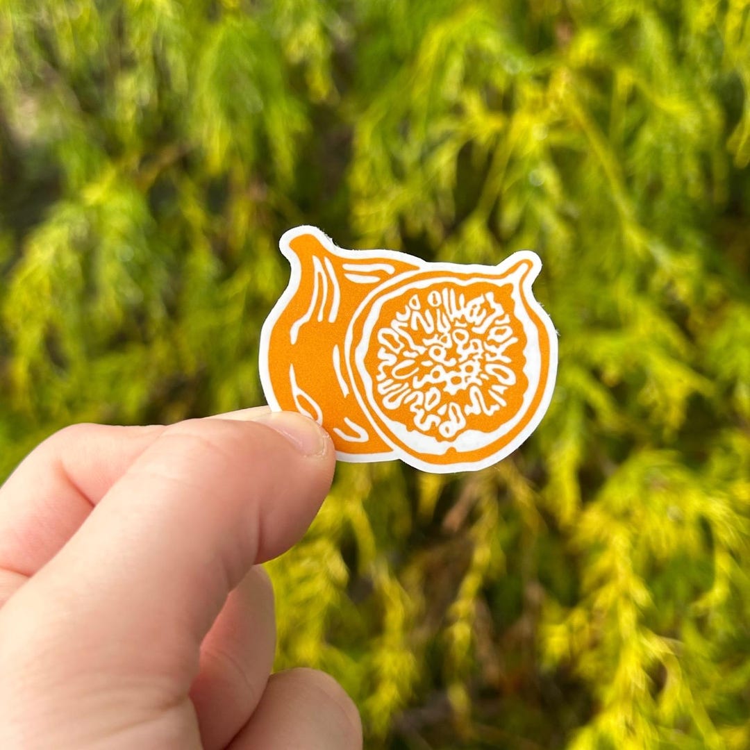 Figs Sticker | Glossy Stickers | Water Resistant Stickers - Etsy