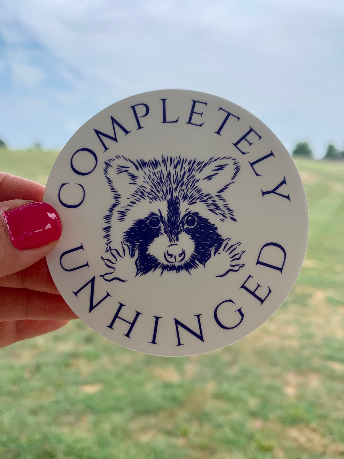 Completely Unhinged Raccoon Sticker Raccoon Meme Raccoon Stickers ...