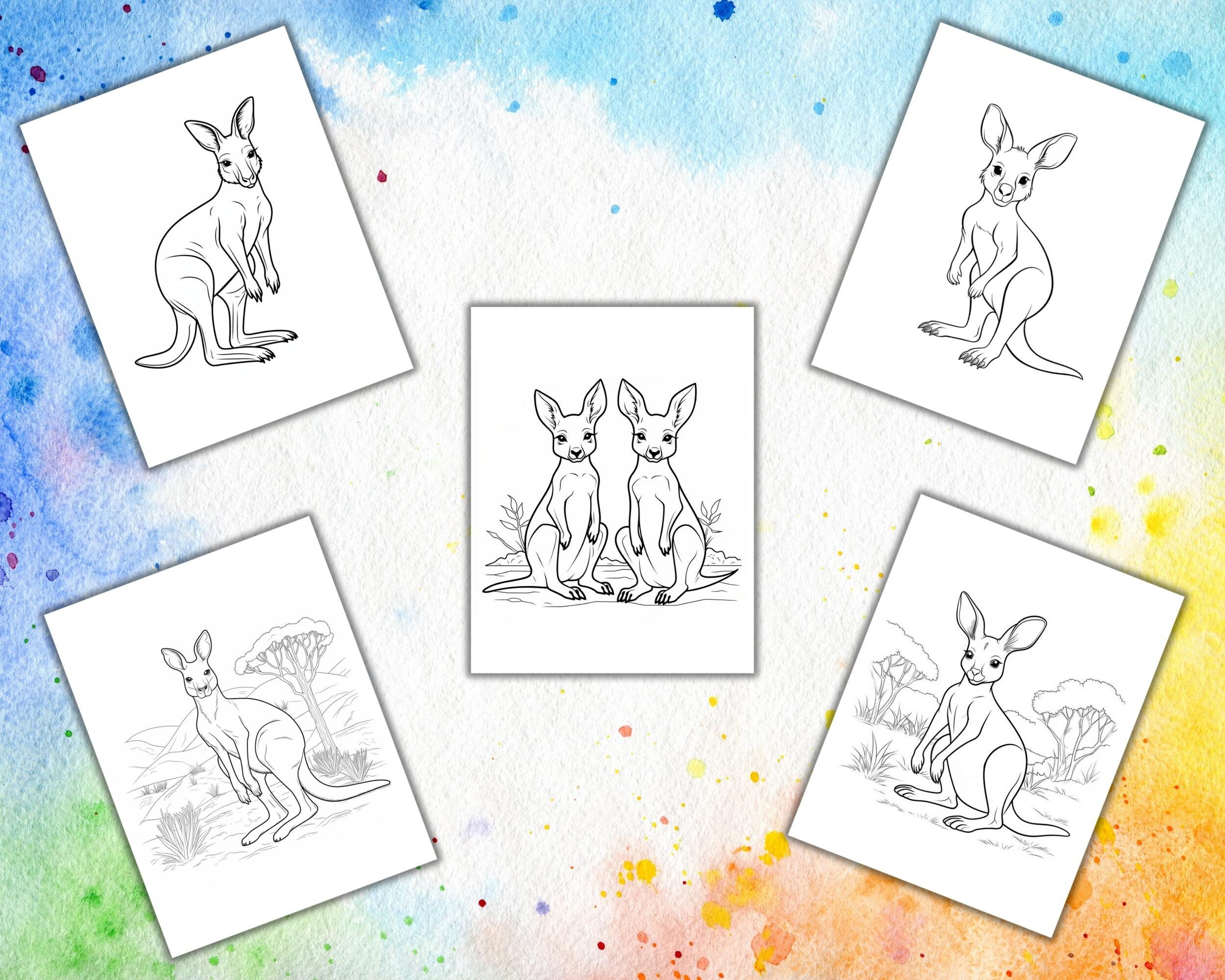 Kangaroo Coloring Pages Cute Kangaroos Coloring Pages for Kids ...