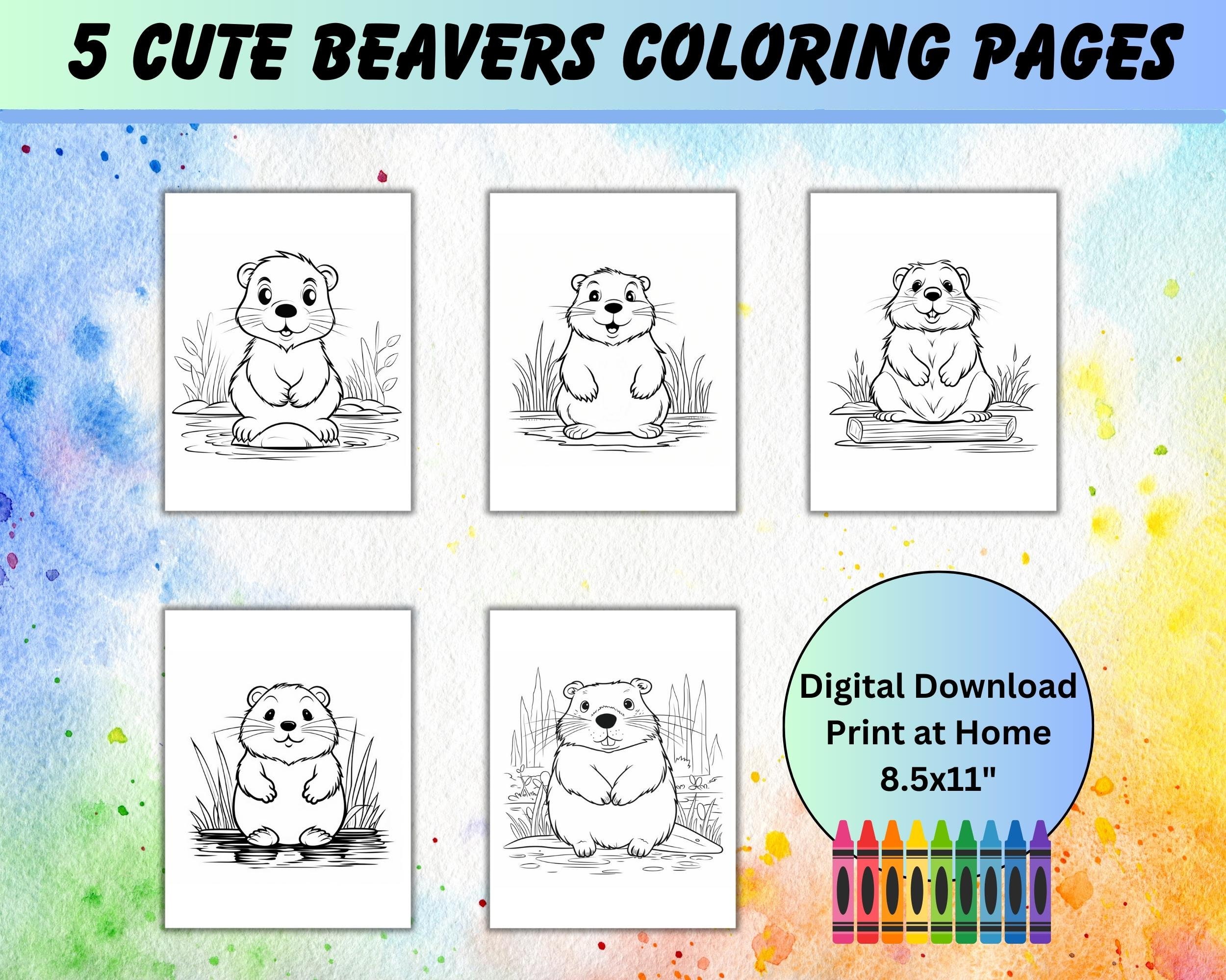 Beaver Coloring Pages Cute Beavers Coloring Pages for Kids Printable ...