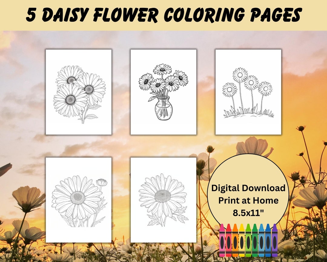 Daisy Flower Coloring Pages Flowers Coloring Pages for Kids Printable ...