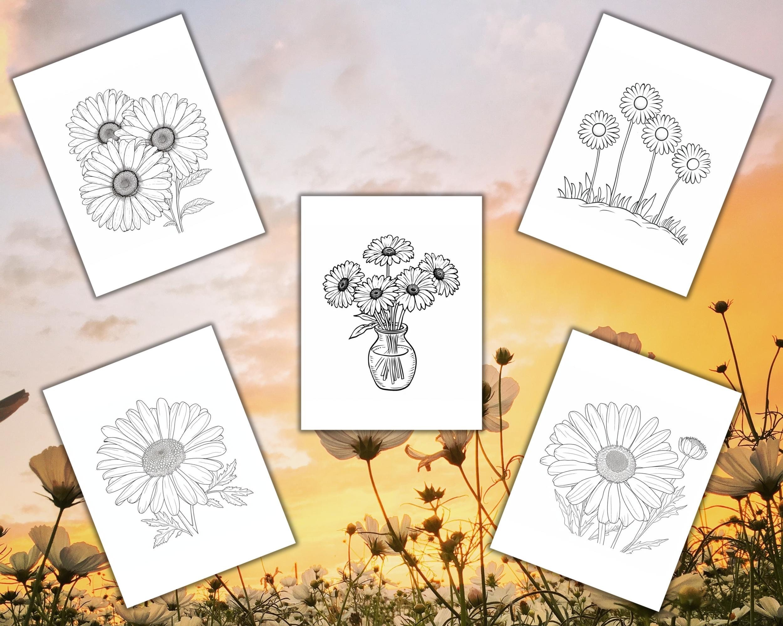 Daisy Flower Coloring Pages Flowers Coloring Pages for Kids Printable ...