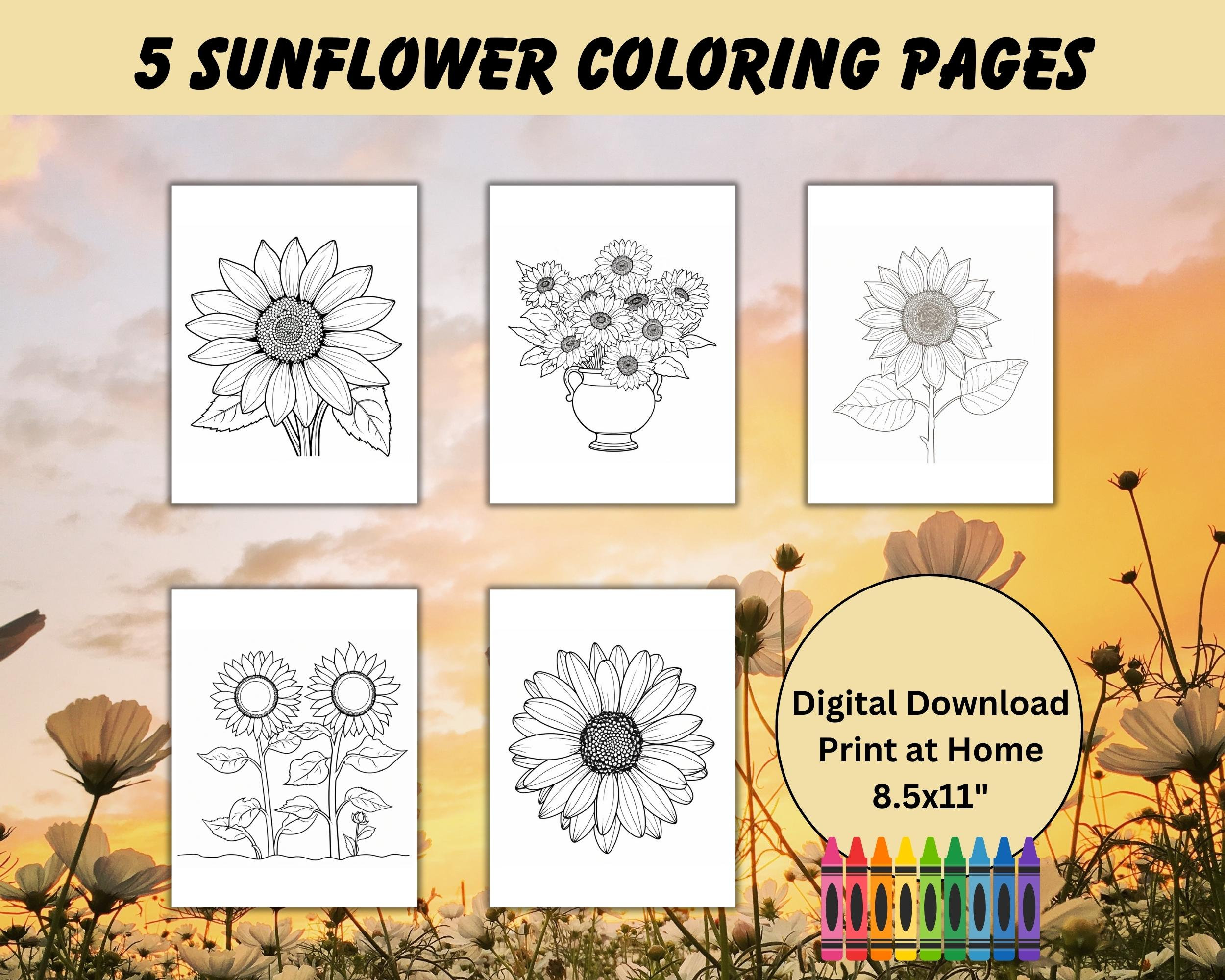 Sunflower Coloring Pages Flowers Coloring Pages for Kids Printable Fun ...