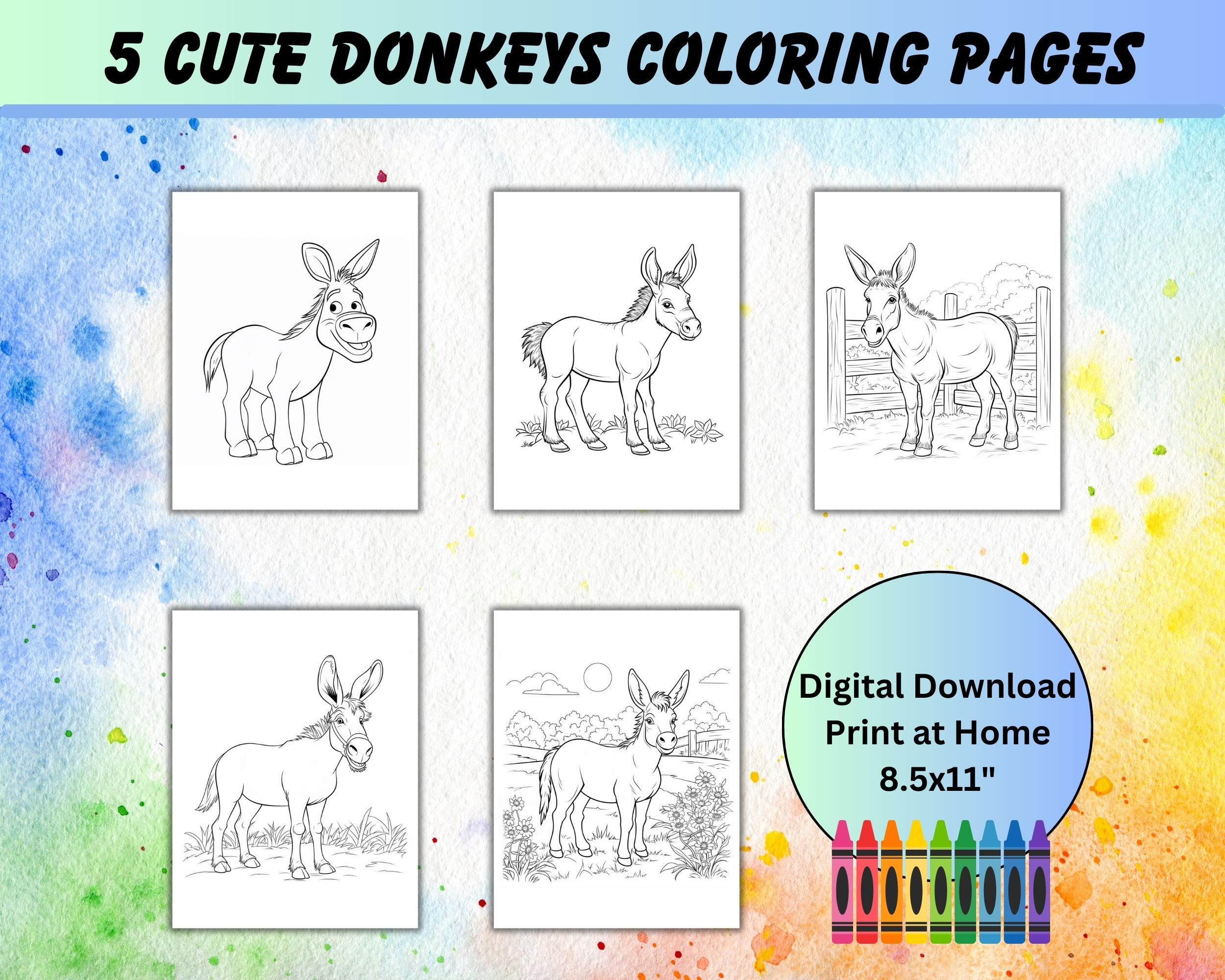 Donkey Coloring Page Coloring Home
