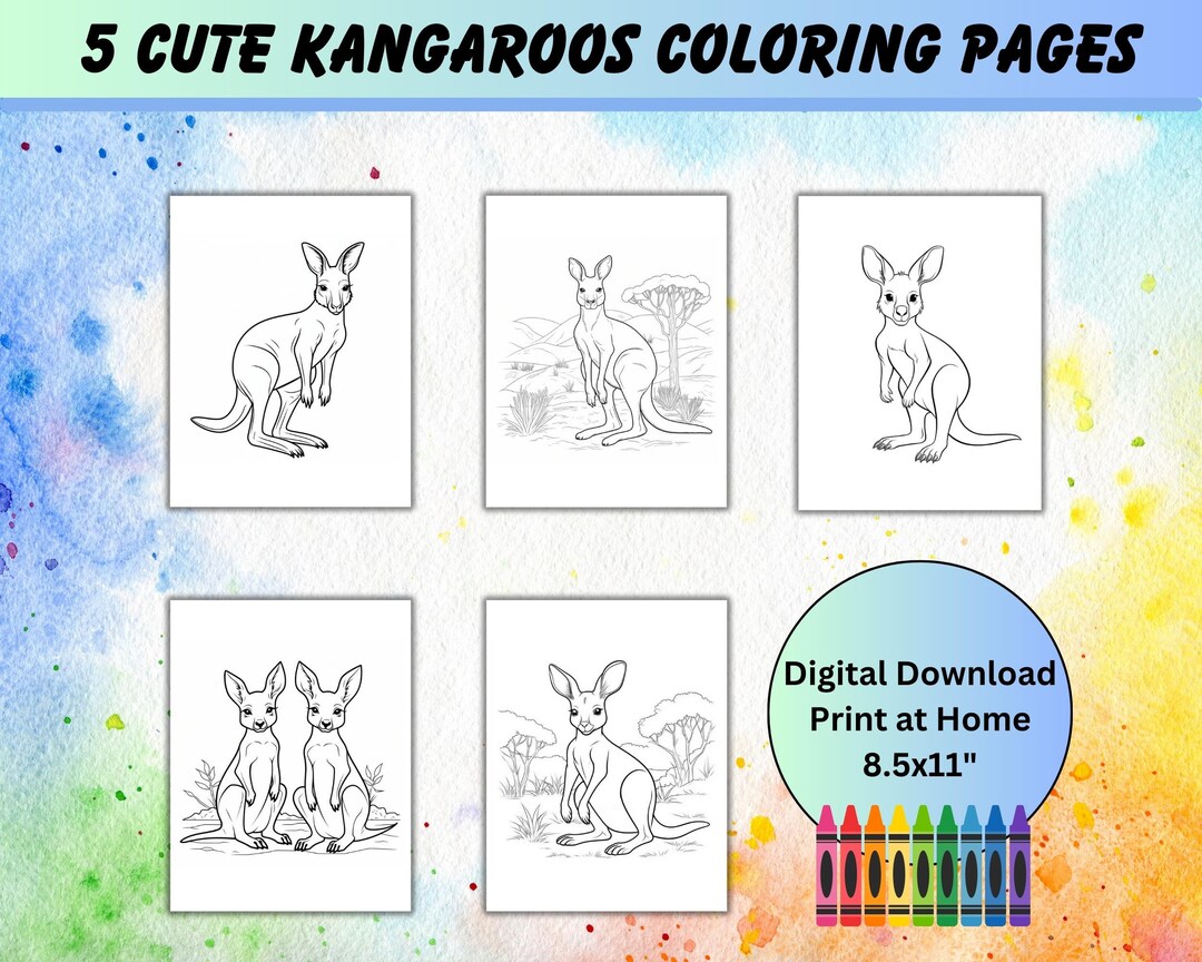 Kangaroo Coloring Pages Cute Kangaroos Coloring Pages for Kids ...
