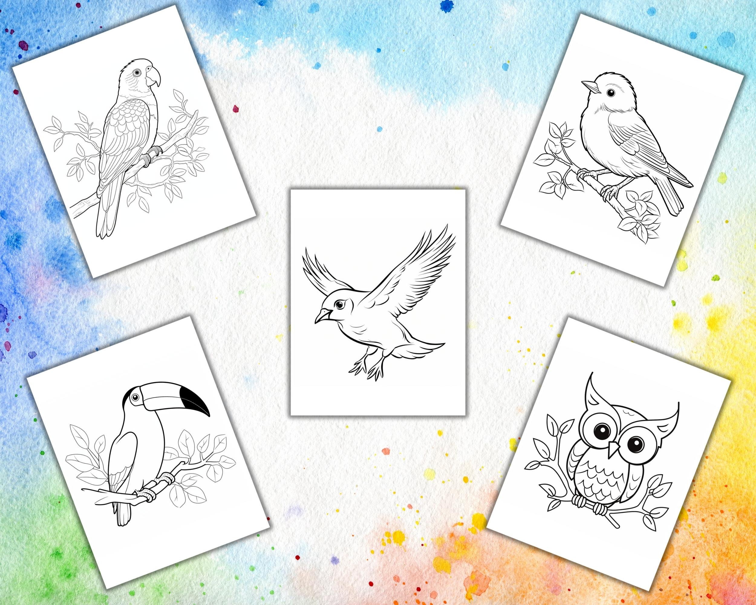 Bird Coloring Pages Cute Birds Coloring Pages for Kids Printable Fun ...