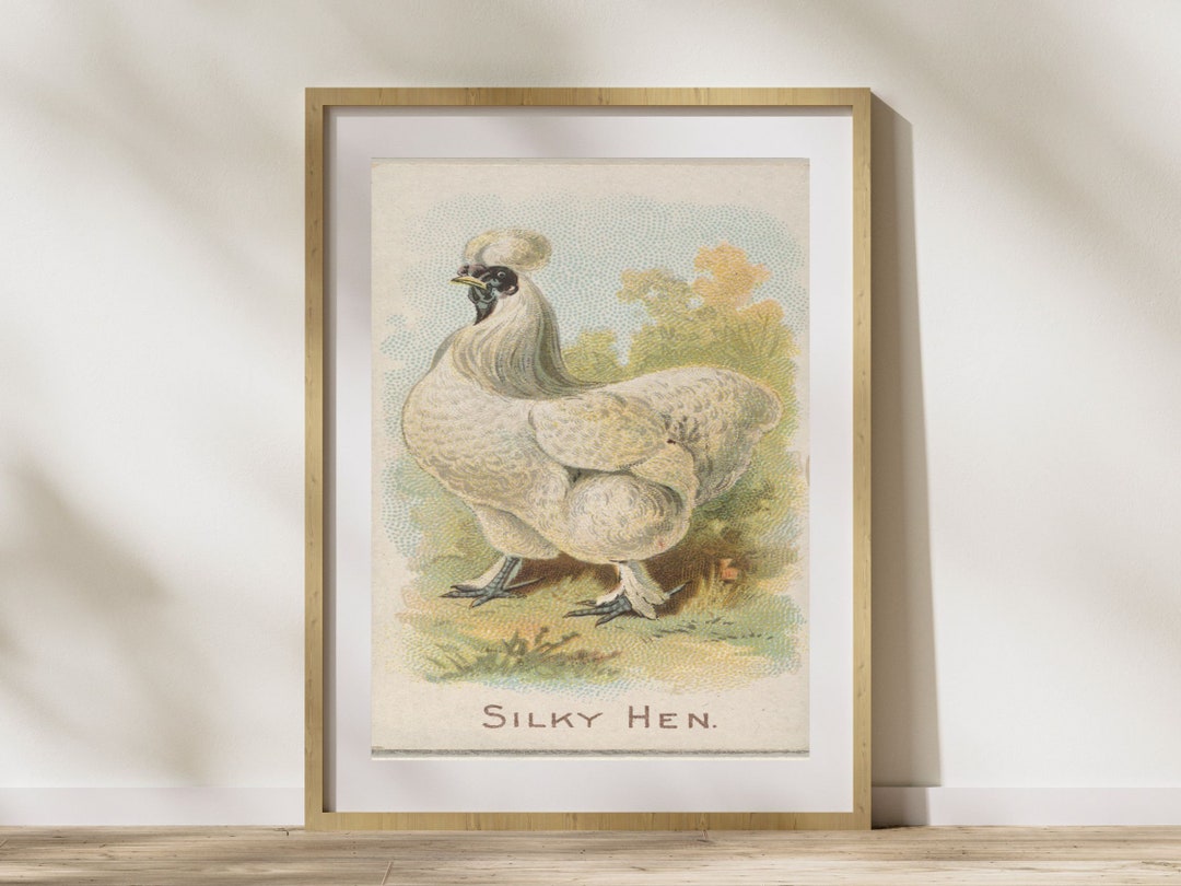 FARMHOUSE VINTAGE Silky Hen Digital Download Artwork - Etsy