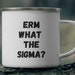 Erm What the Sigma Mug, Trendy Camp Mug, Gift for Boyfriend, Gift for ...