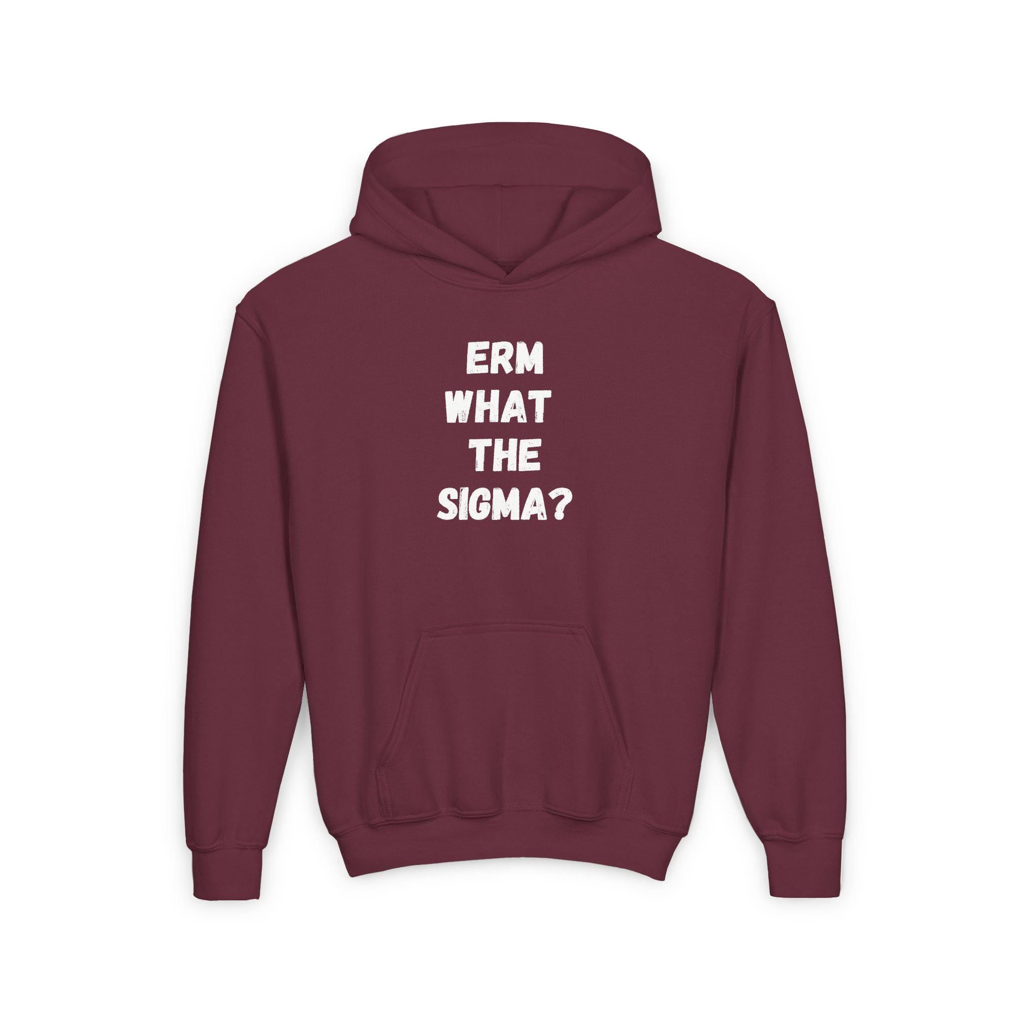 Erm What the Sigma Youth Size Hoodie, Trendy Shirt, Gift for Boys, Gift ...