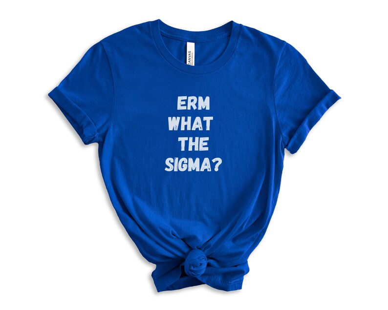 Erm What the Sigma White Letters, Trendy Shirt, Unisex, Gift for ...