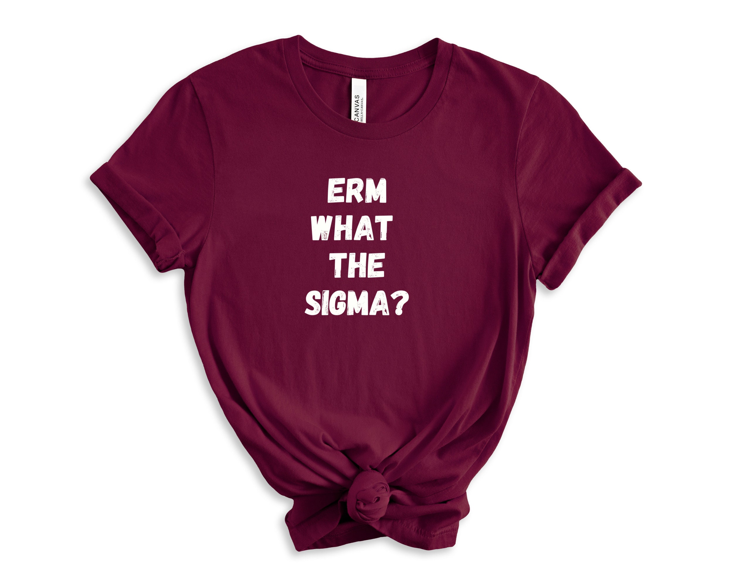 Erm What the Sigma White Letters, Trendy Shirt, Unisex, Gift for ...