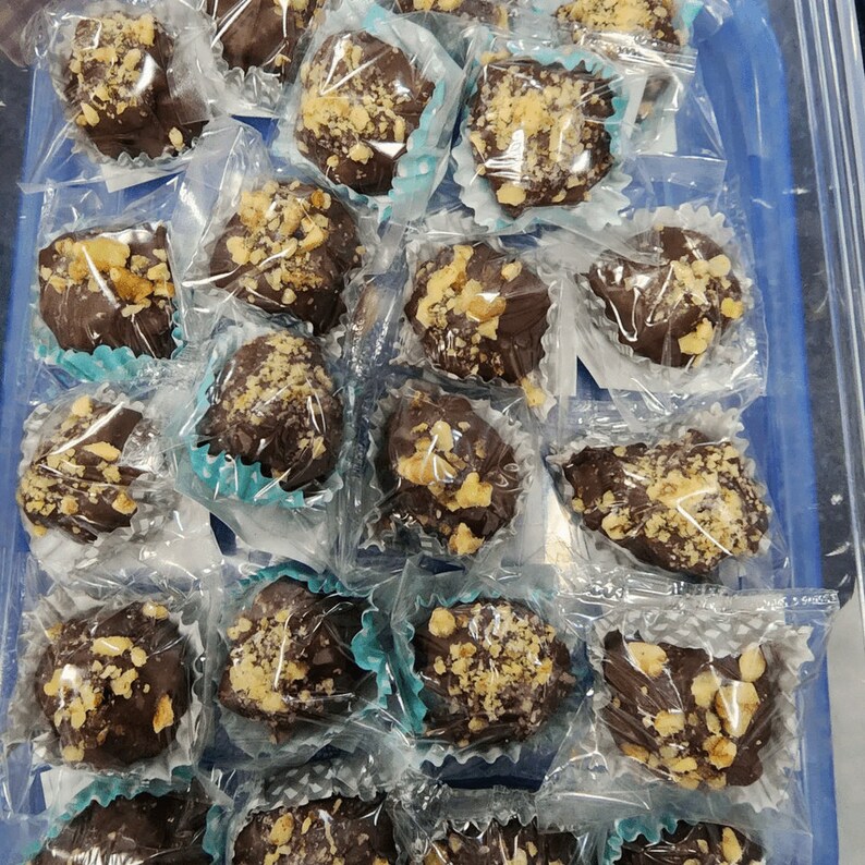 Turtle Truffle contains Walnuts - Etsy