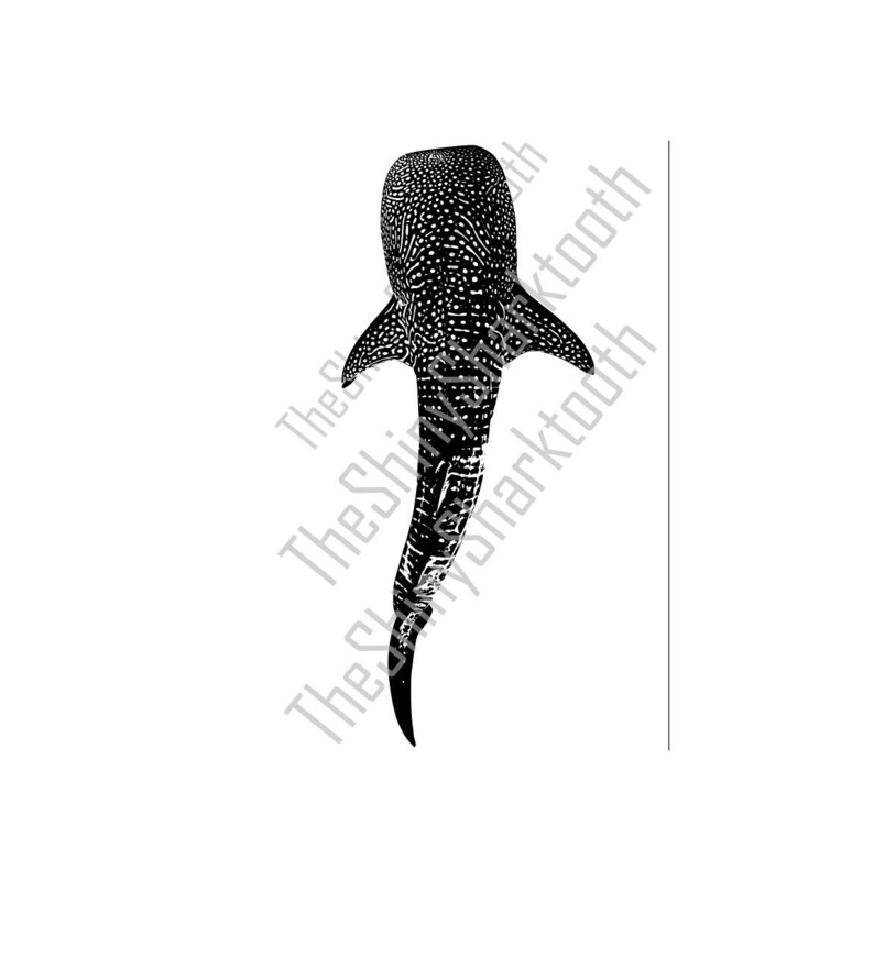 Whale Shark SVG - Etsy