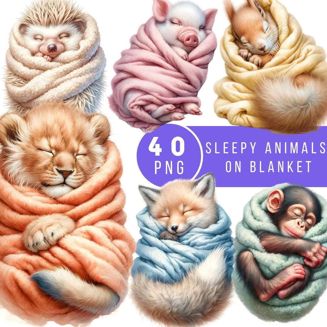 Adorable Sleepy Animals Clipart: Watercolor Blanket Scenes, Cute ...