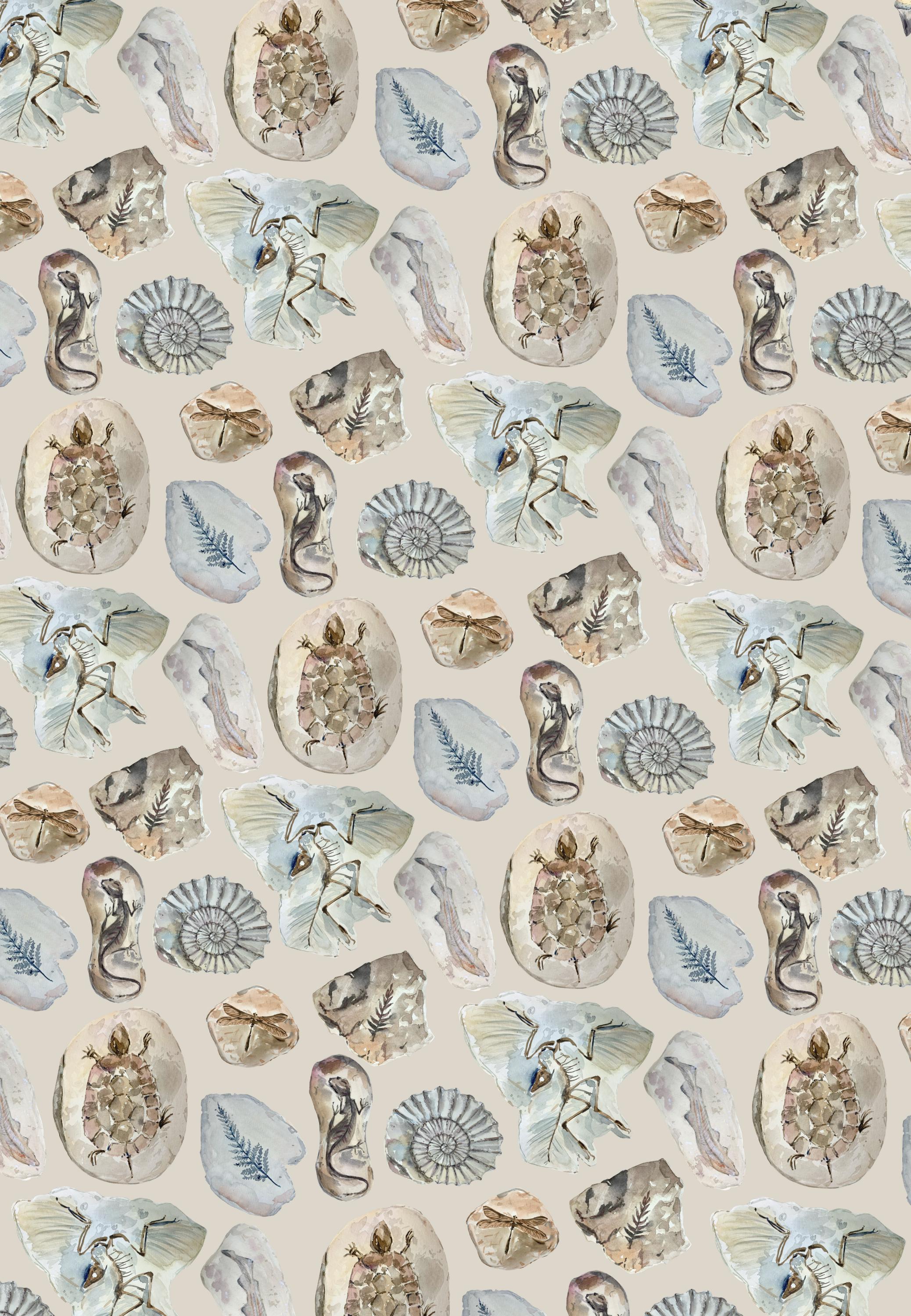 Watercolor Fossil Wrapping Paper, Paleontology Gift Wrap, Quality All ...