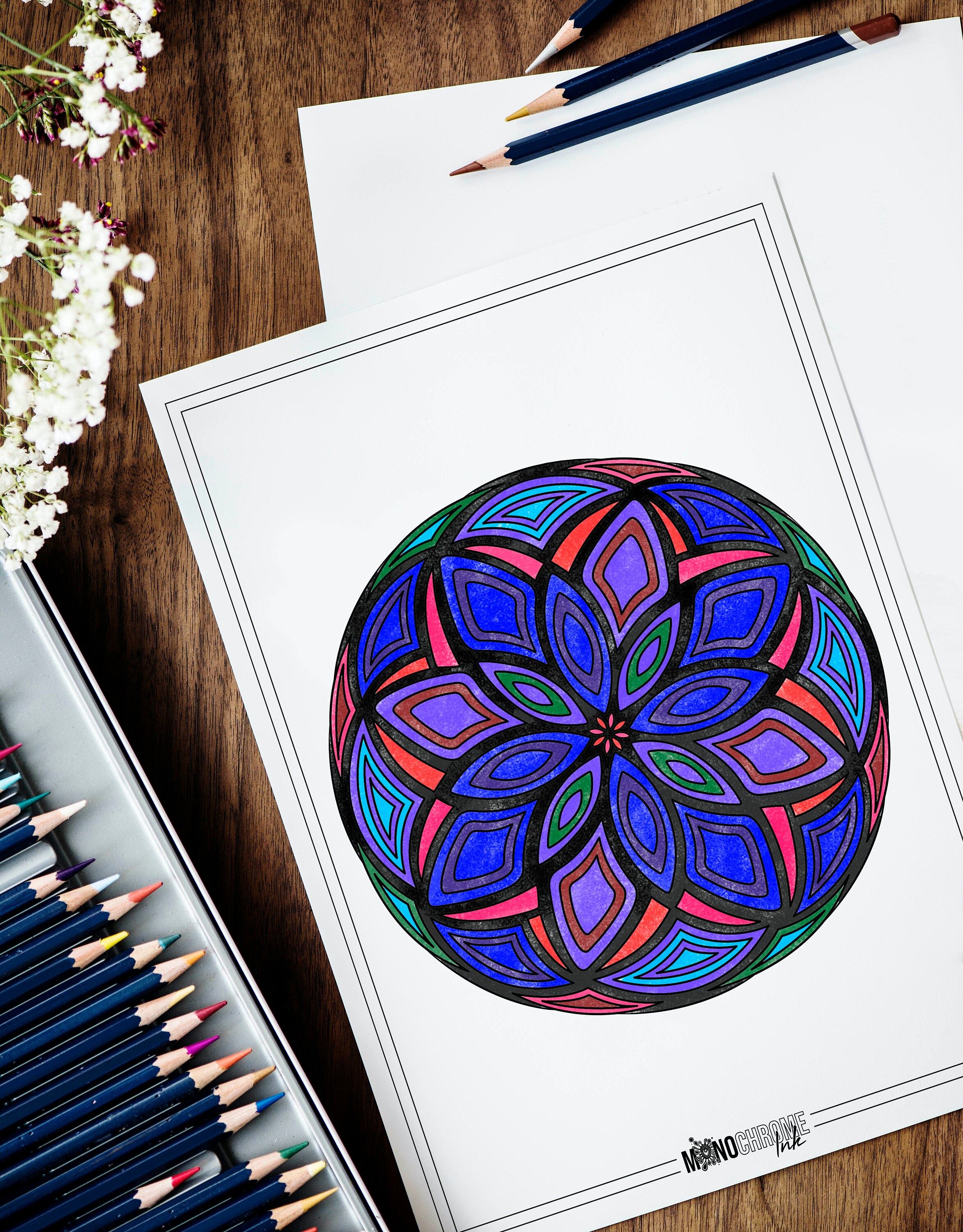 Line Art Coloring Page life Cycle Coloring Hand Drawn - Etsy