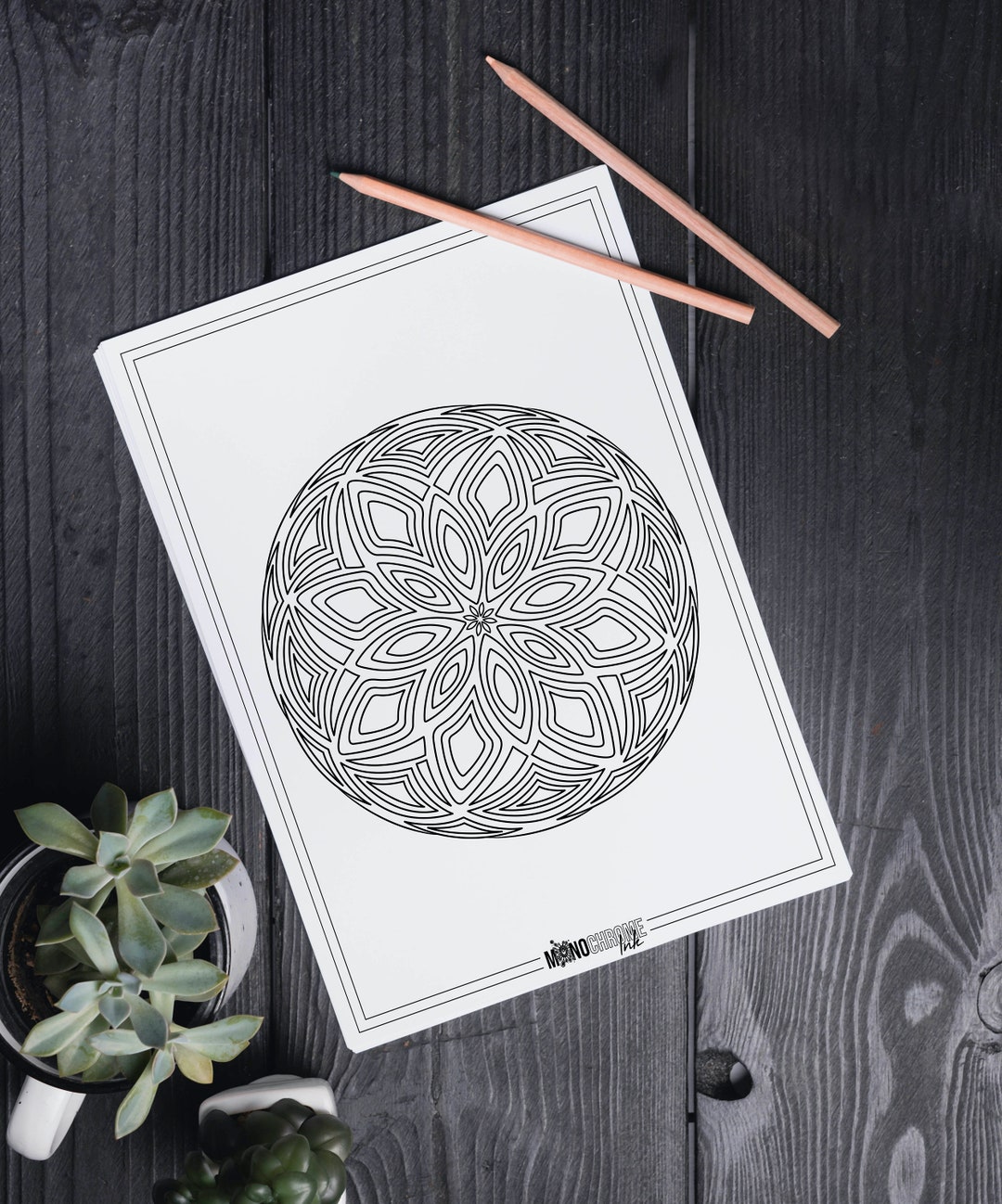 Line Art Coloring Page life Cycle Coloring Hand Drawn - Etsy