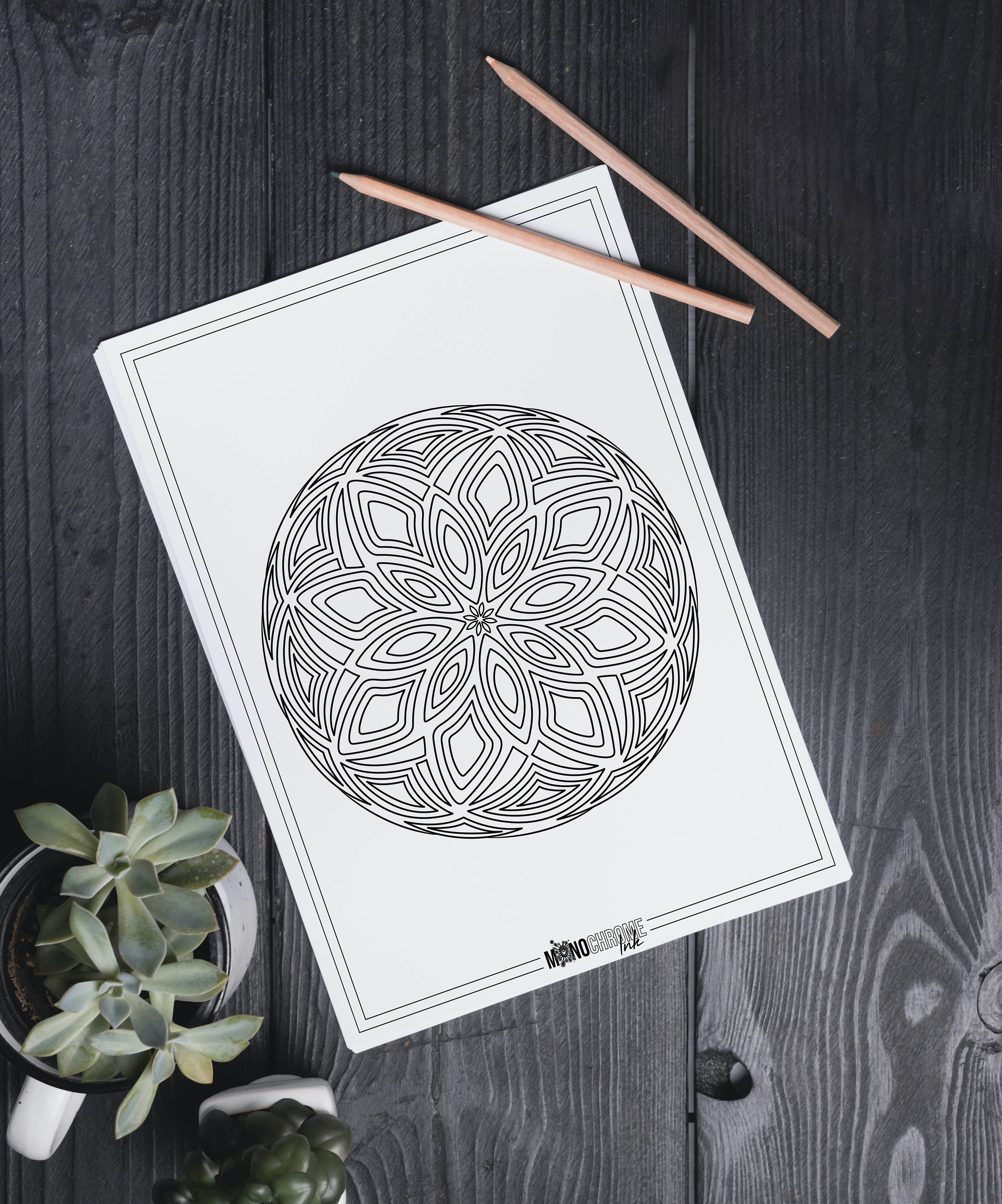 Line Art Coloring Page life Cycle Coloring Hand Drawn - Etsy