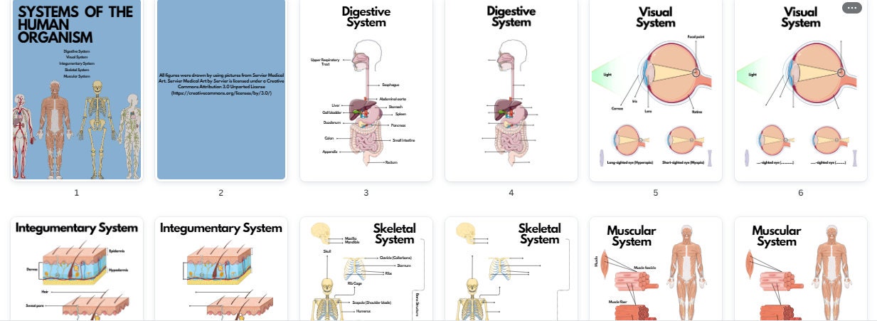 Biological Systems of Human Printable PDF Anatomy and Biology Posters ...