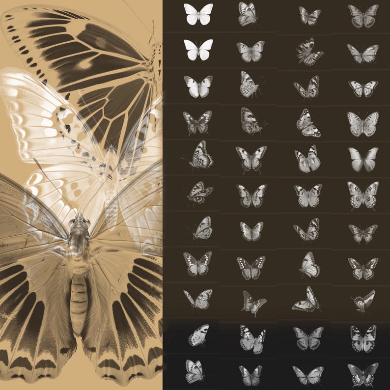 40 Butterfly Procreate Stamps: Tattoo Stencils, Coloring Brushes ...