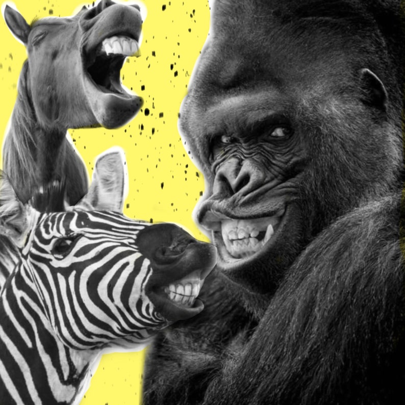 77 Realistic Animals Procreate Tattoo Brushset Tattoo Stencils ...