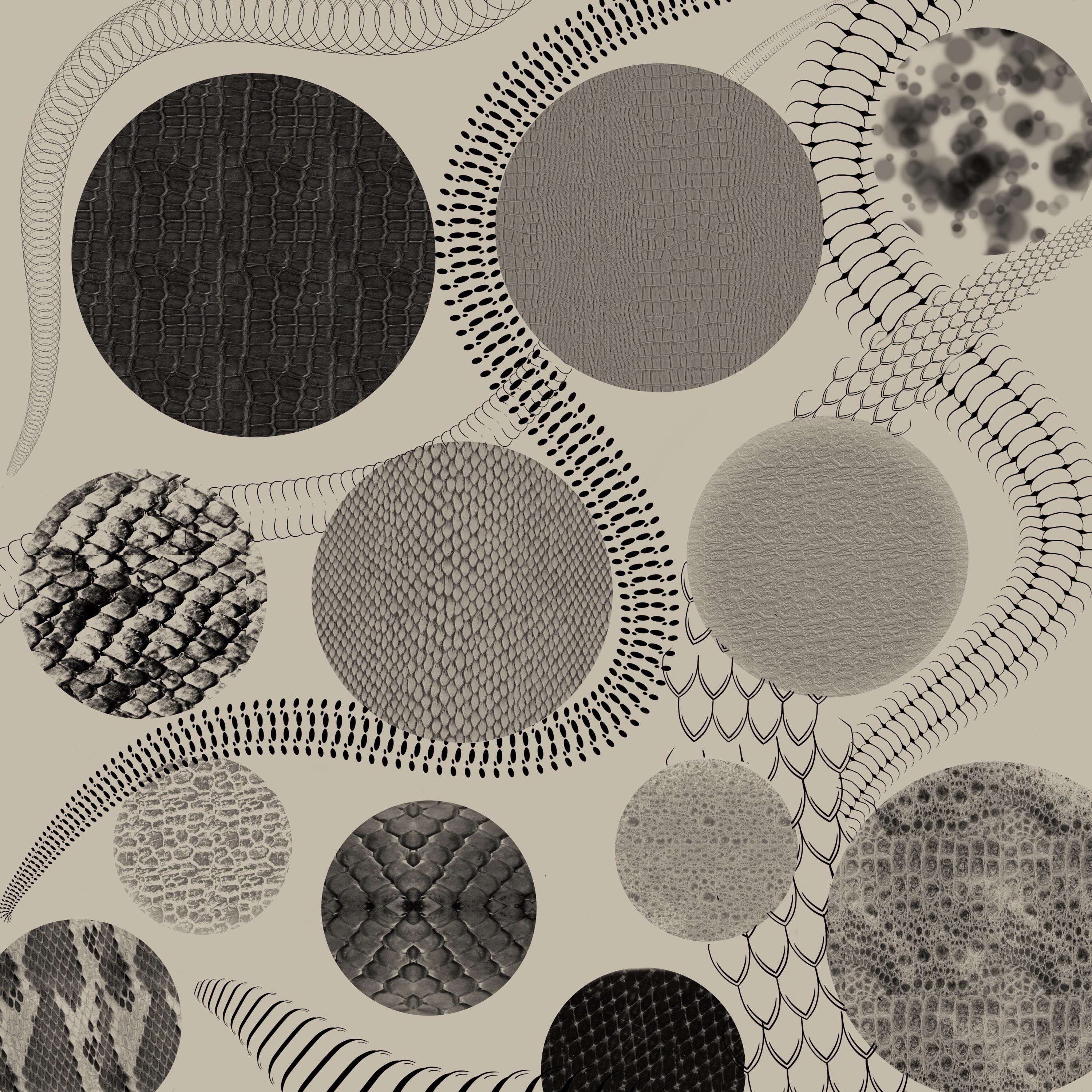 Procreate Snake Skin Brushes: Reptile Tattoo Designs (digital Download ...