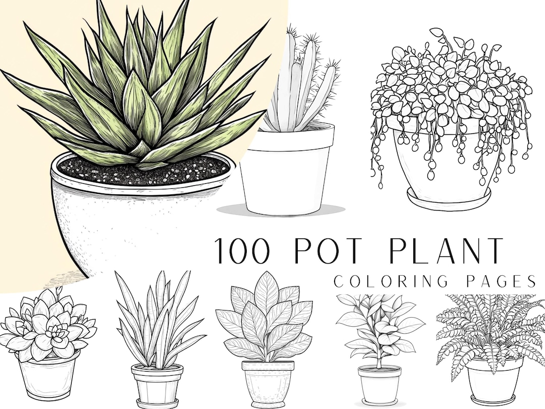 100 Pot Plant Coloring Pages - Instant Digital PDF Download, Adult ...