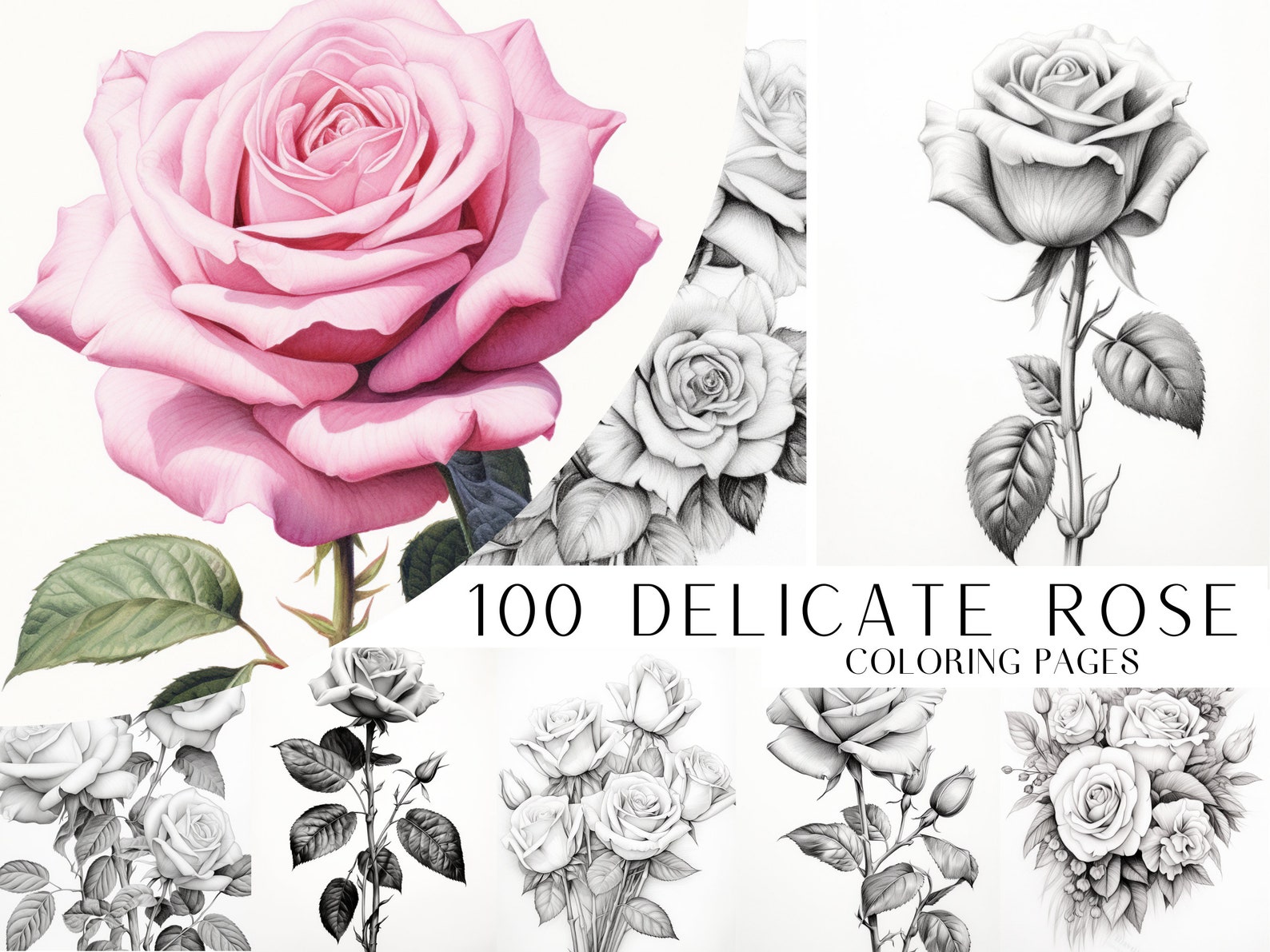 100 Delicate Rose Coloring Pages - Adults and Kids Coloring Book ...
