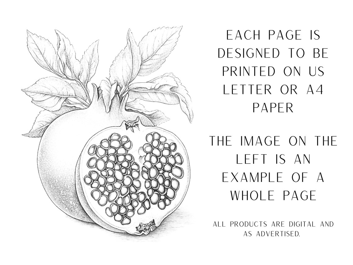 75 Fruity Coloring Pages - Adult and Kids Coloring Book, Fruit Coloring ...