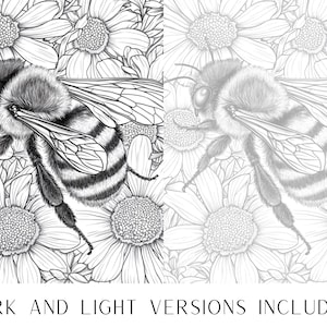 25 Floral Bee Coloring Pages - Adults Coloring Book, Greyscale, Digital ...
