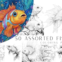 Fish 3- Coloring Pages (5) - Etsy