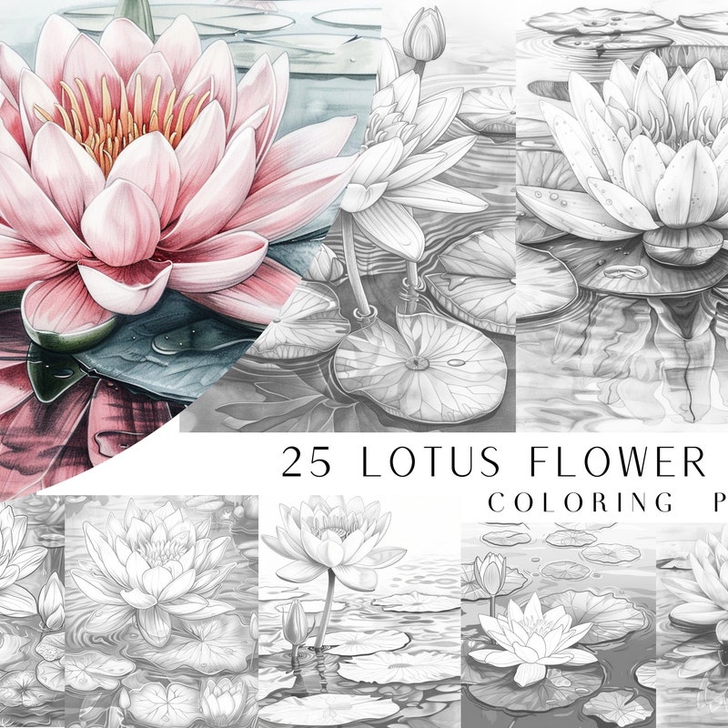 Lily Coloring Book - Etsy