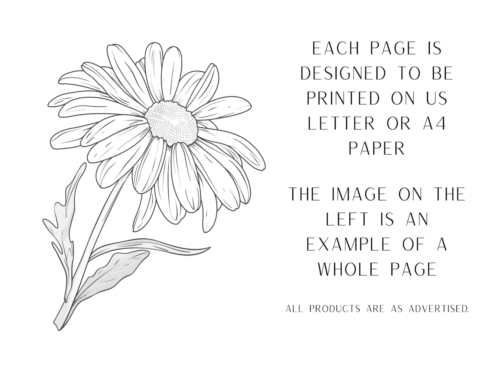 25 Daisy Flower Coloring Pages - Adults and Kids Coloring Book ...