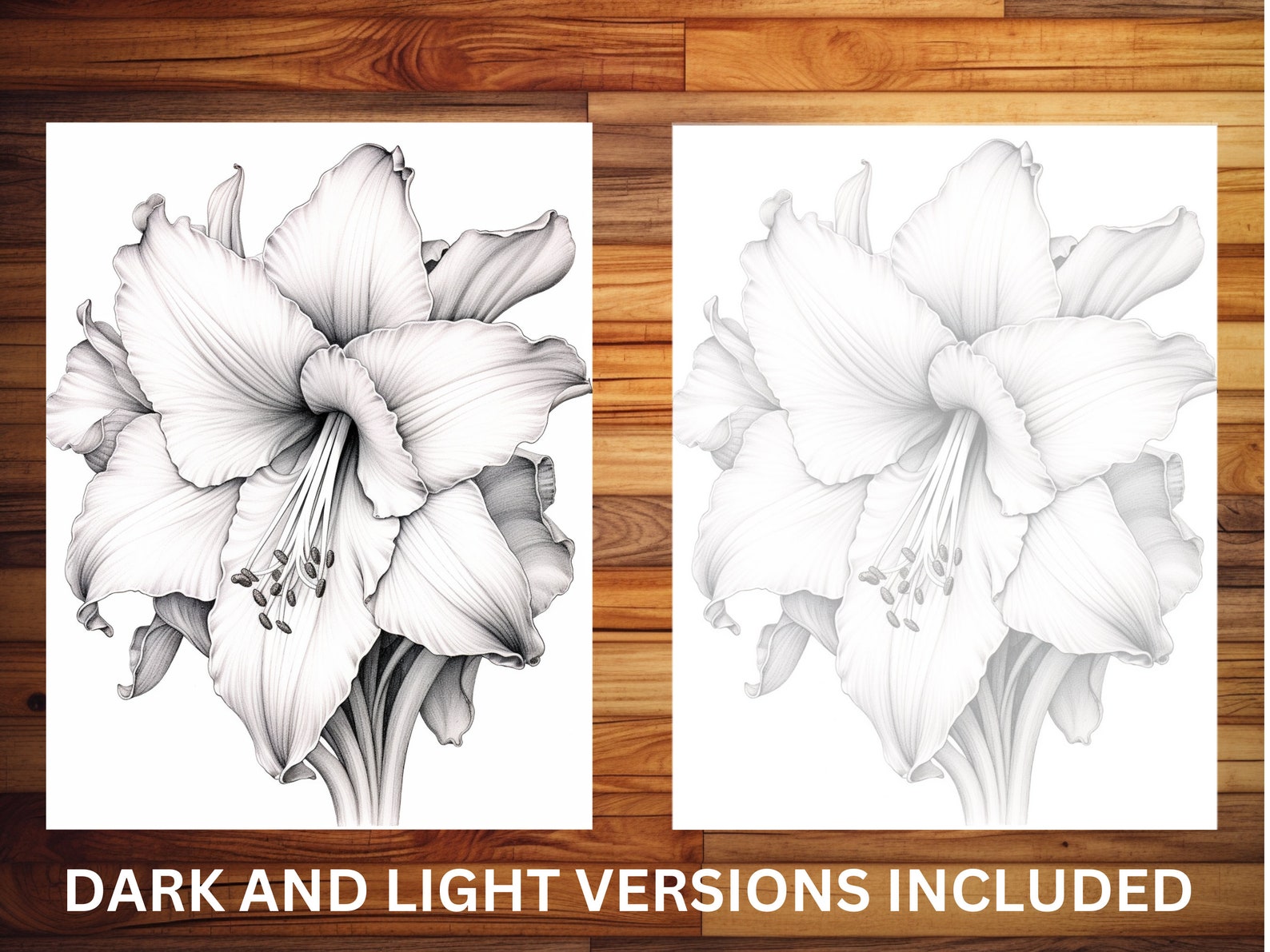 100 Elegant Flower Coloring Pages Adults and Kids Coloring - Etsy