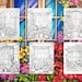 25 Floral Window Coloring Pages Adults and Kids Coloring Book ...
