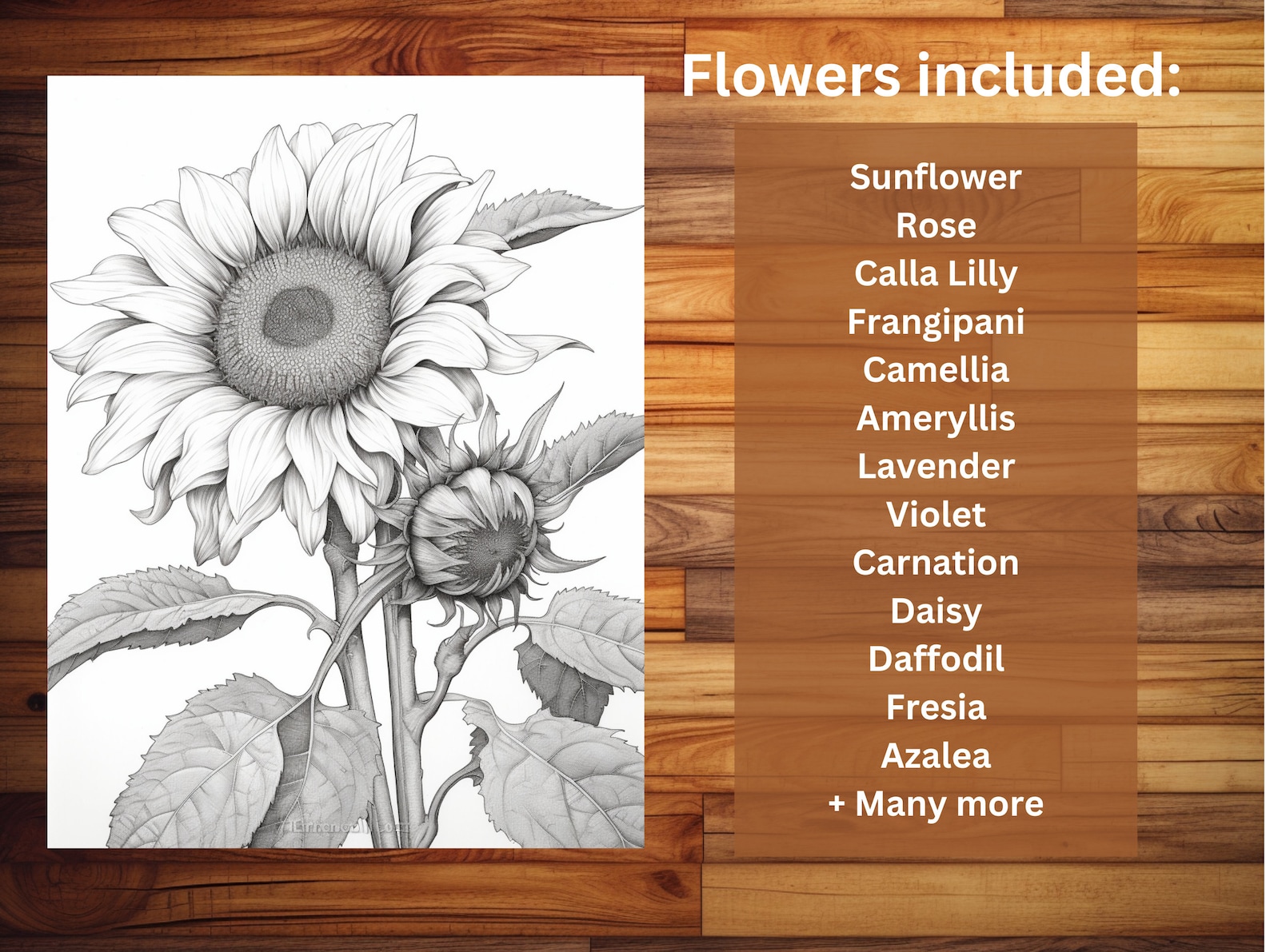 100 Elegant Flower Coloring Pages Adults and Kids Coloring - Etsy