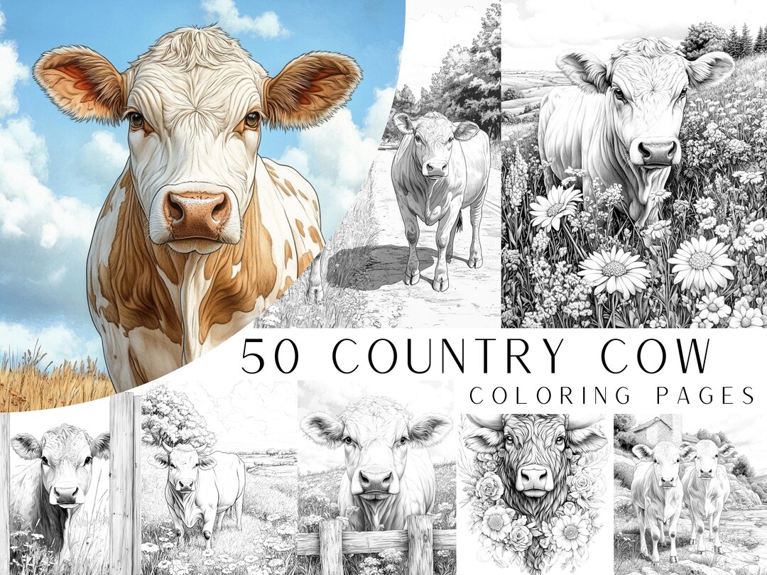 50 Country Cow Coloring Pages - Adult and Kids Coloring Book, Animal ...